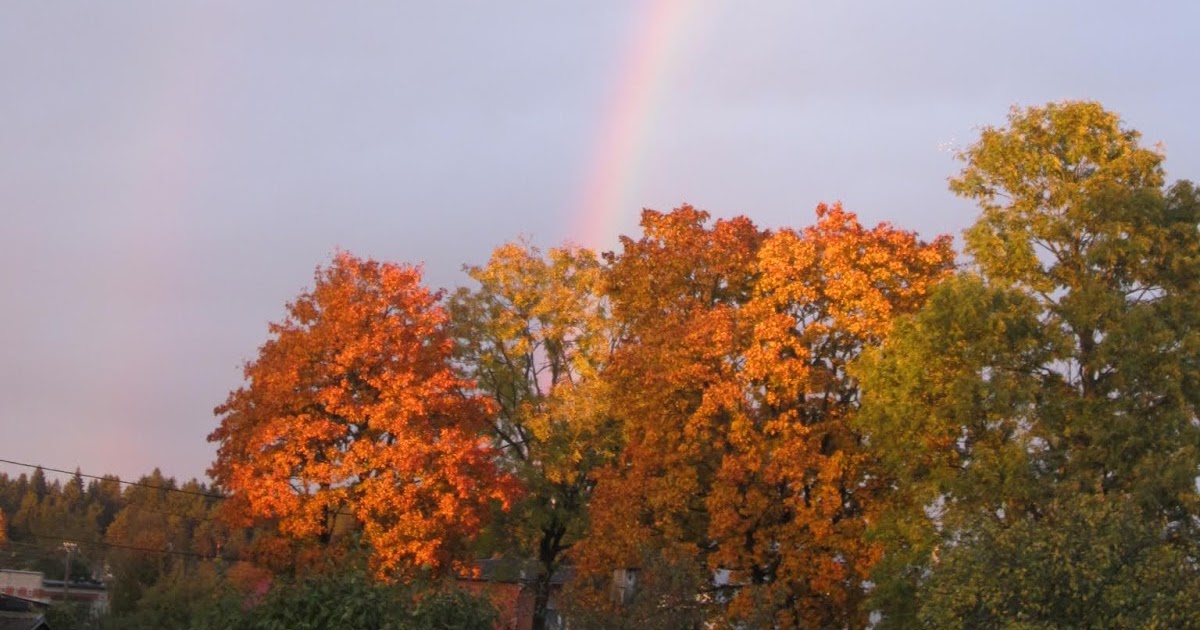 Manni tegemised: Vikerkaare värvid