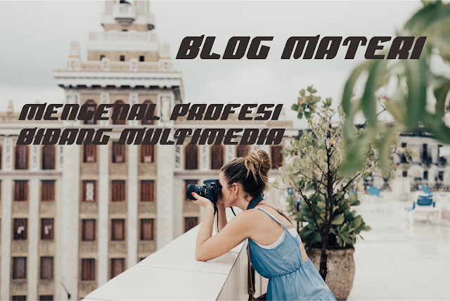 Profesi Bidang Multimedia - INI BLOG MATERI