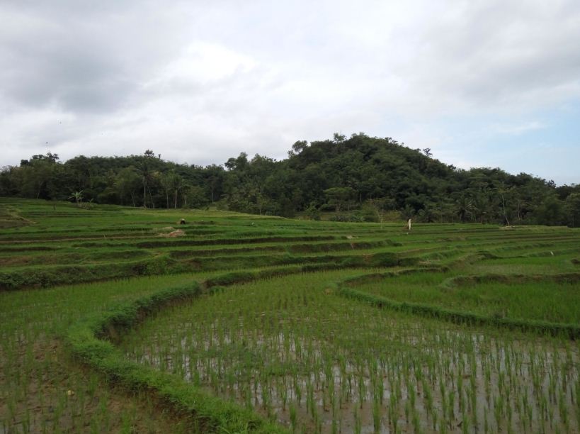 Lokasi Bentukan Geologi Karangsambung Kebumen - Geograpik