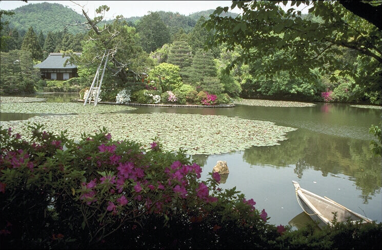 All photos gallery: Natural Disasters, Computer Wallpapers