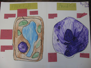 Third Grade Smarties!: Animal and Plant Cells