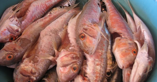 živashranjuje: Trlja