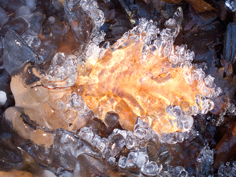 Celo Photo: Ice teeth