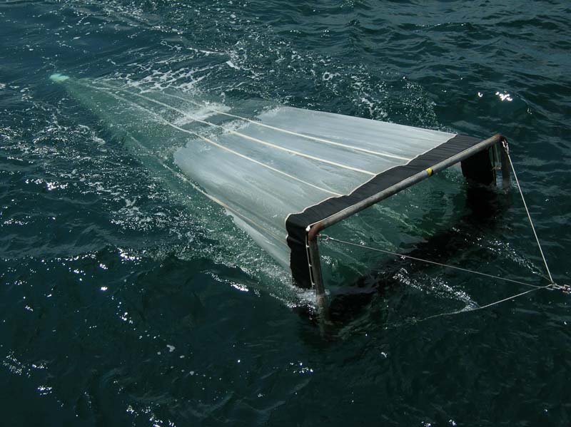 FIO Field Studies in Marine Science 2013: USFSP Days Two and Three