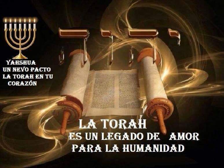 De verdad que somos siervos inútiles como afirma la Reina Valera?????