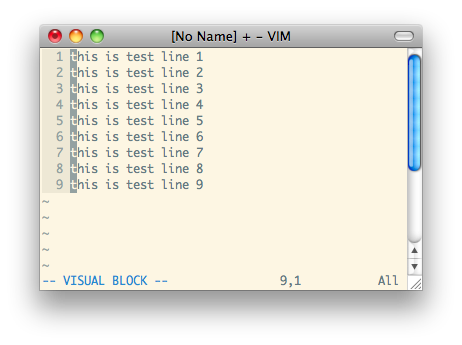 [Vim] 여러 라인 동시 삽입, blockwise-visual - Seorenn SIGSEGV