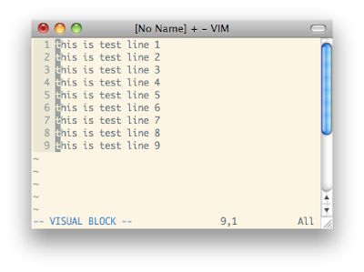 [Vim] 여러 라인 동시 삽입, blockwise-visual - Seorenn SIGSEGV
