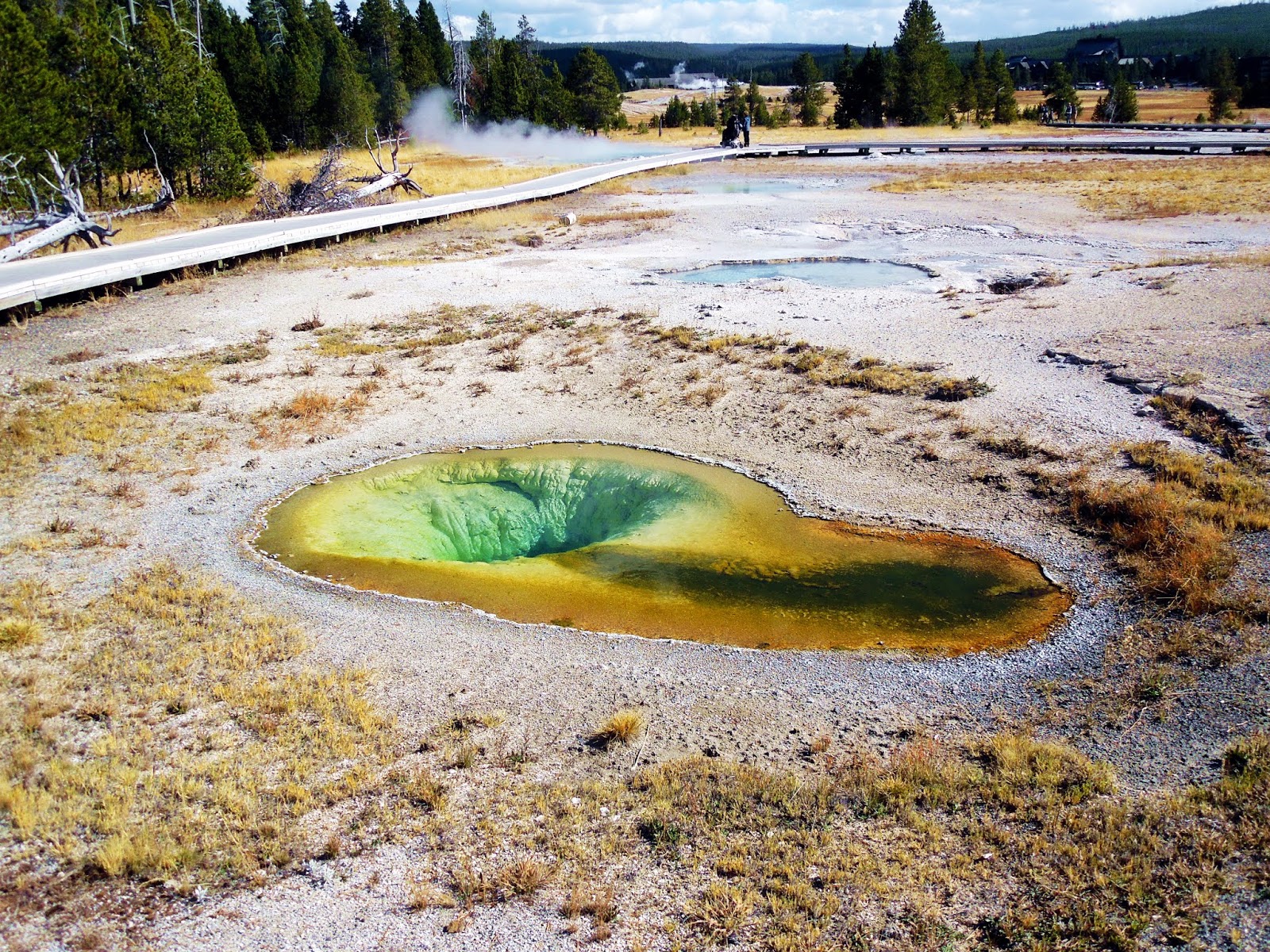 Focusing On Travel : Yellowstone: A Geyser Gazers Guide to the Upper ...