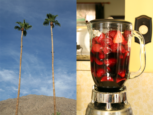 Baking Bird Test Kitchen: Summer Spa Popsicles!