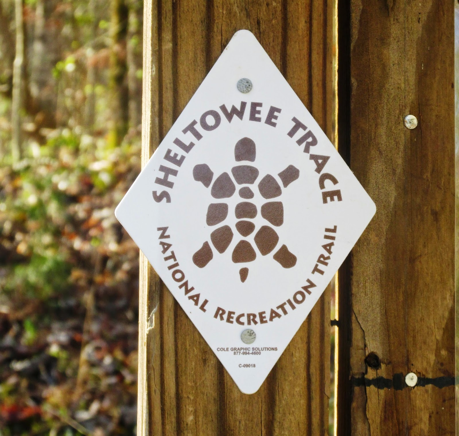 Fitty Shrimp on the Trail: Sheltowee Trace - Big South Fork Area (Days 1-3)