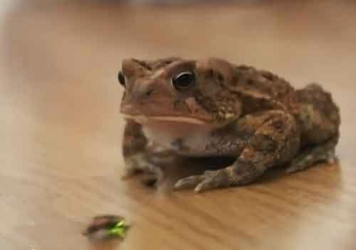 Retired--Now What?: July 2014