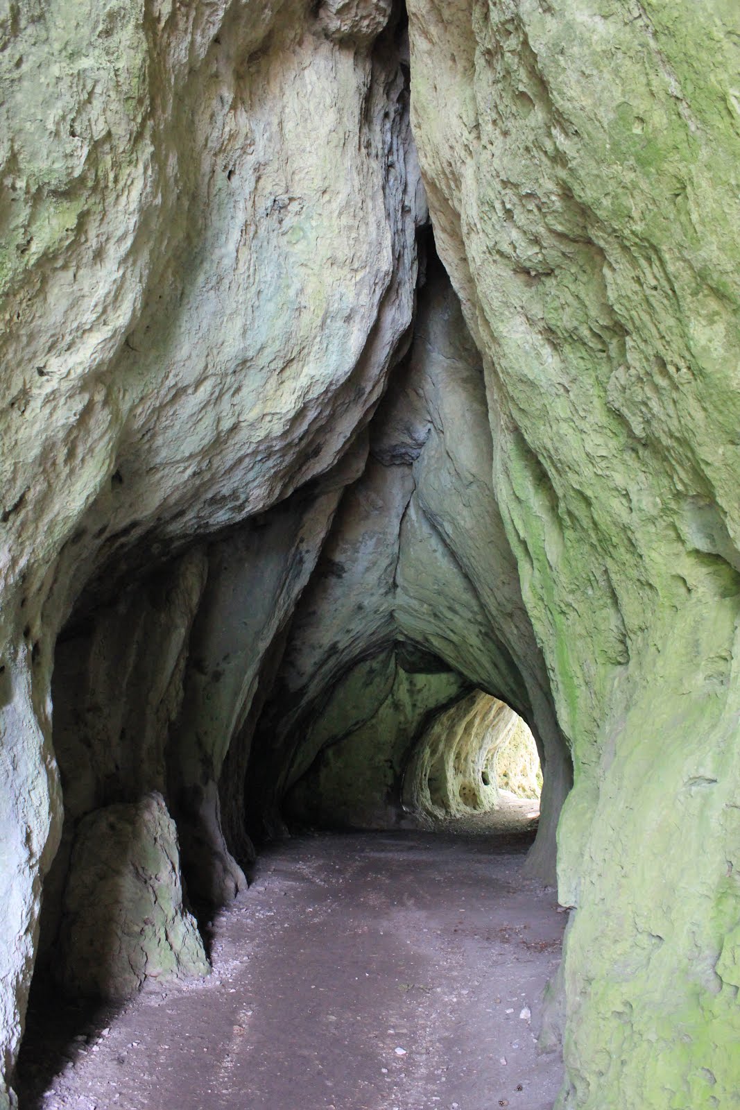 Die Naturdenkmäler rund um Betzenstein