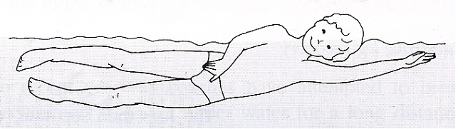 Sidestroke: Learn How To Swim It Well - Swimming Technique