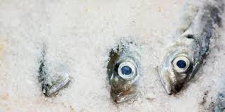 SAINS: Pengawetan Makanan