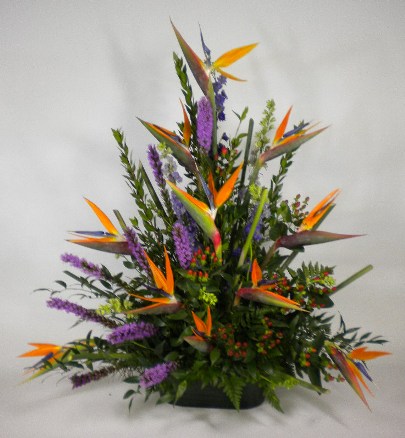 Summer Rayne Flowers: Flower of the Day Bird of Paradise