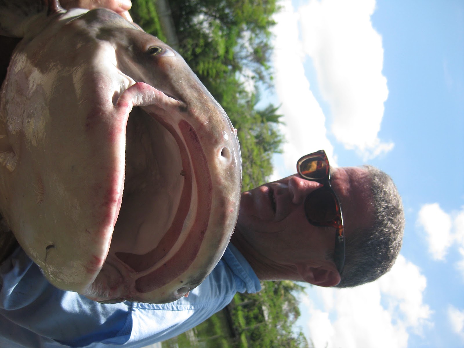 Chiang Mai Fishing: Huge Fish in Chiang Mai