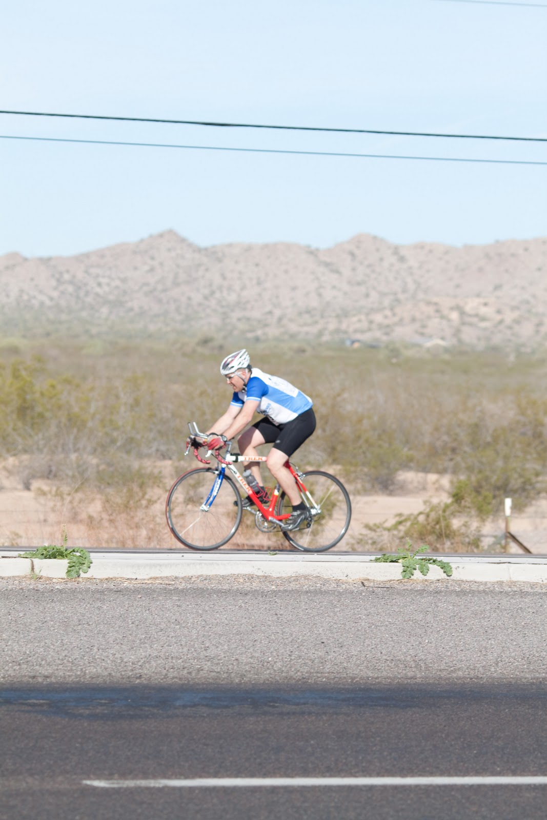 Cactus Pedal - Yang and Horsley Dentistry