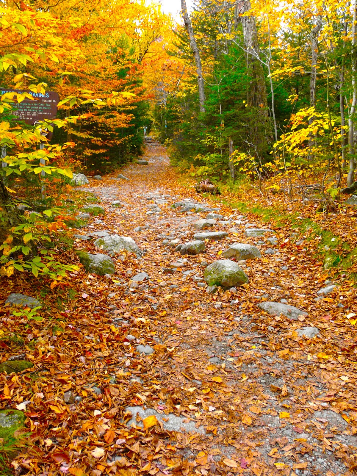 The Freelance Adventurer : Top 10 Things to Pack for a Fall Day Hike