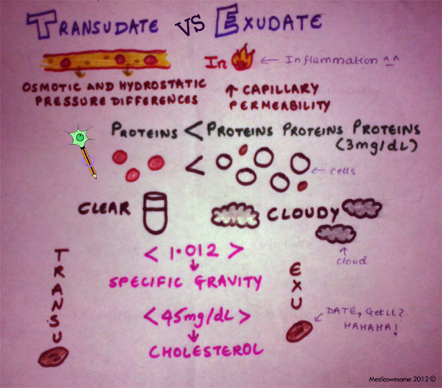 Medicowesome: Exudate & Transudate