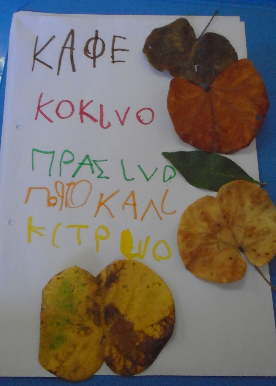 5 ΝΗΠΙΑΓΩΓΕΙΟ ΚΑΛΑΜΑΤΑΣ : ΔΡΑΣΤΗΡΙΟΤΗΤΕΣ ΚΑΙ ΚΑΤΑΣΚΕΥΕΣ ΓΙΑ ΤΟ ΦΘΙΝΟΠΩΡΟ