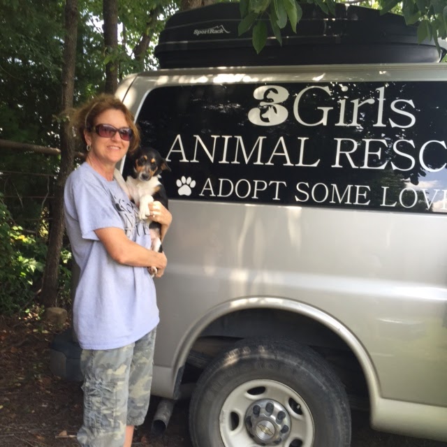 pawsgo: 3 Girls Animal Rescue -- Adopt Some Love