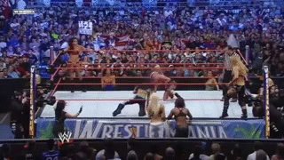 Ashley Massaro - Wᴏʀʟᴅ Wʀᴇsᴛʟɪɴɢ Gɪғs