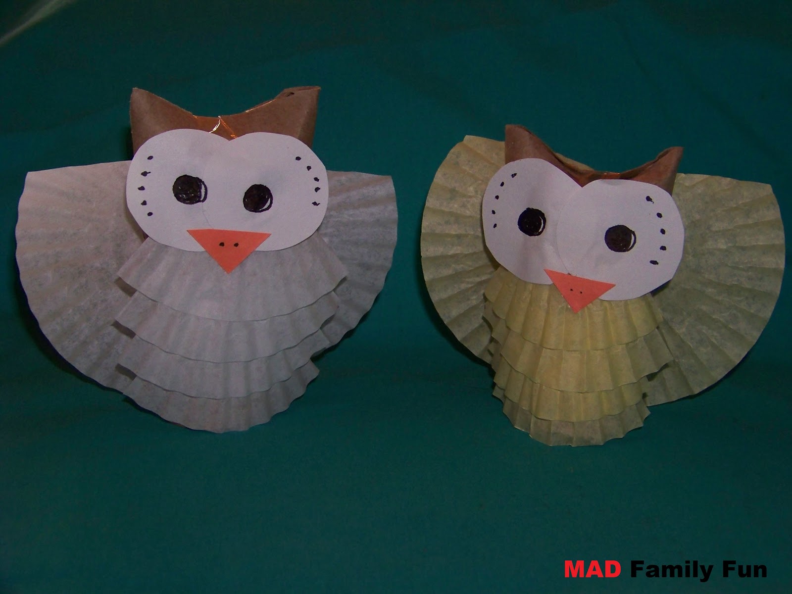MAD Family Fun: Toilet paper tube owls