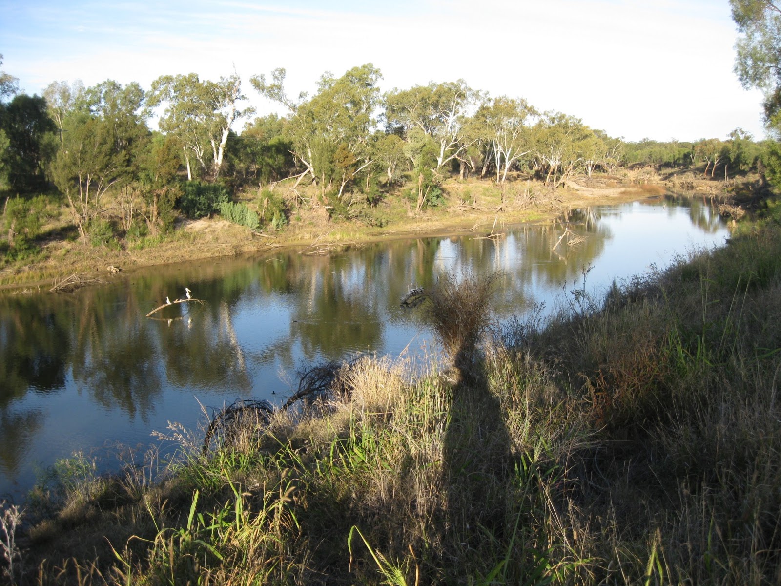 Robin's Double Life: A river and the bush: Outback QLD, Australia