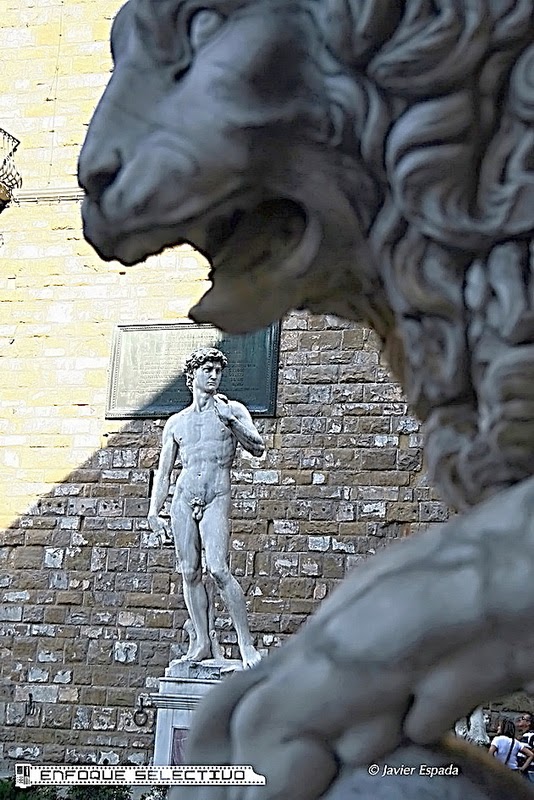 © Javi Espada Fotografía: Enfoque Selectivo