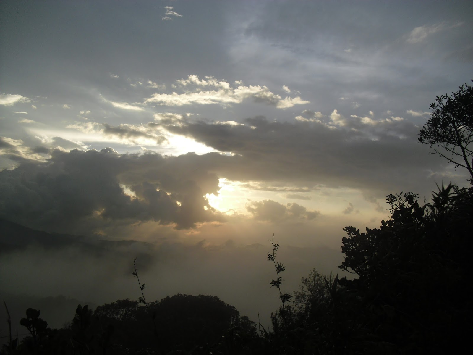 Andando por Venezuela: Pico Codazzi