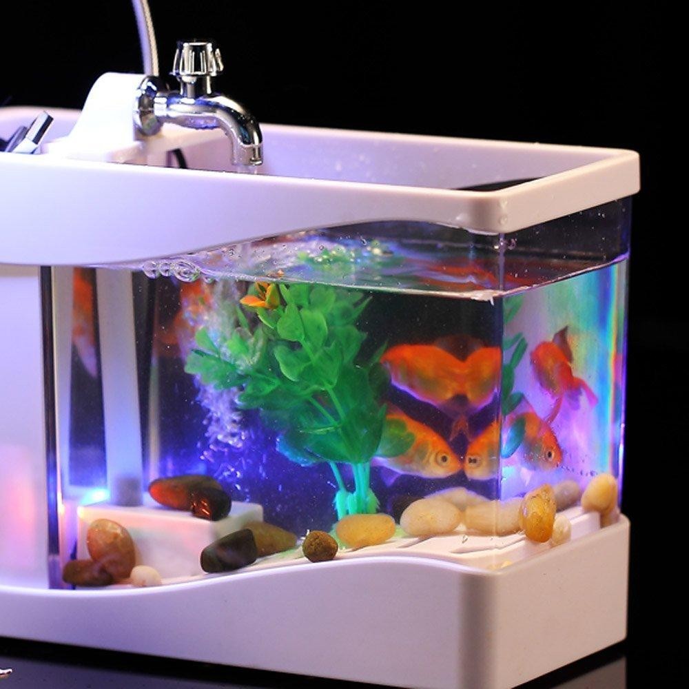 60 Model Akuarium Kecil Cocok Untuk Hiasan Kamar Tidur Anda