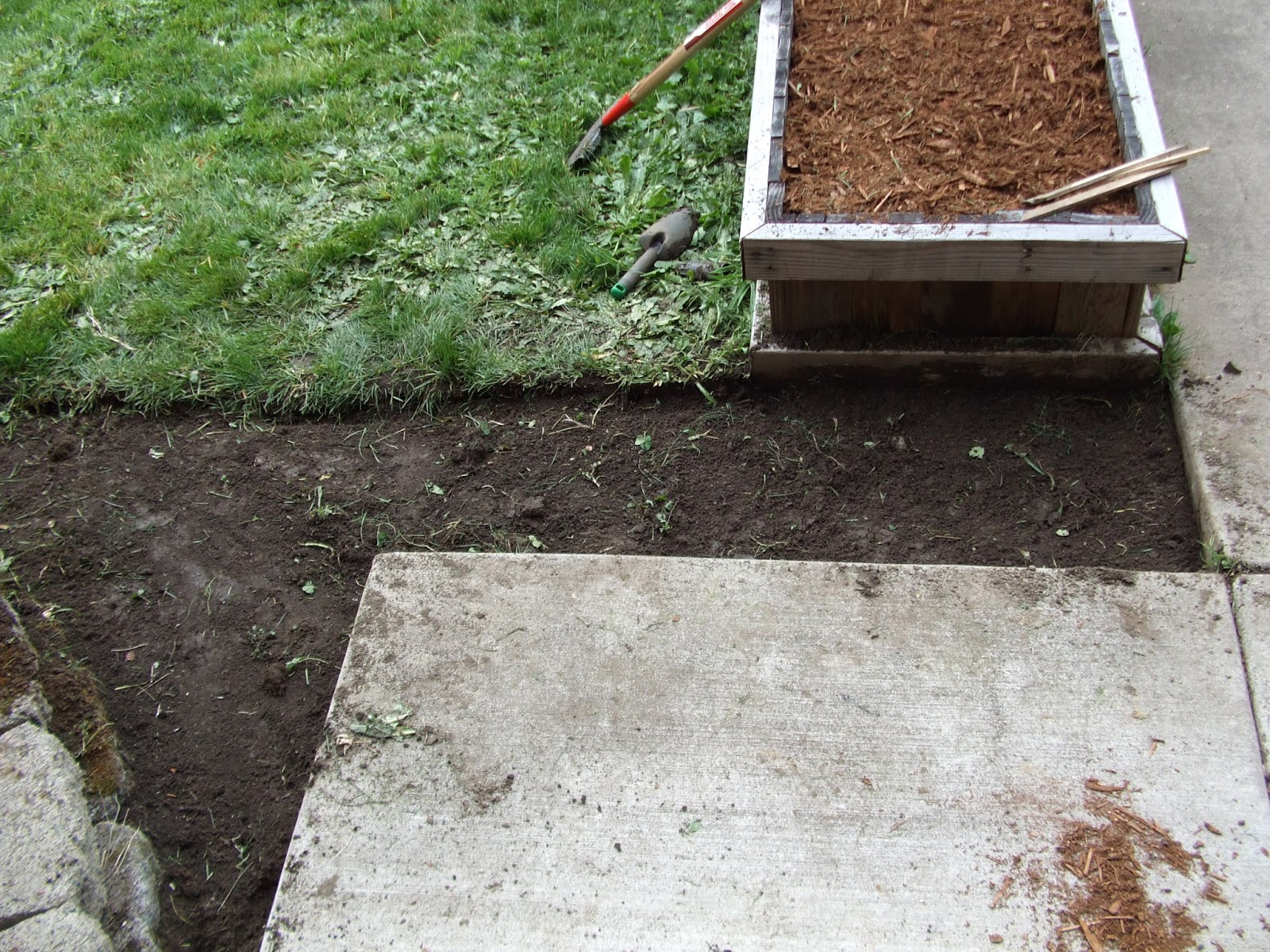 The Martin Home: Bark Trio