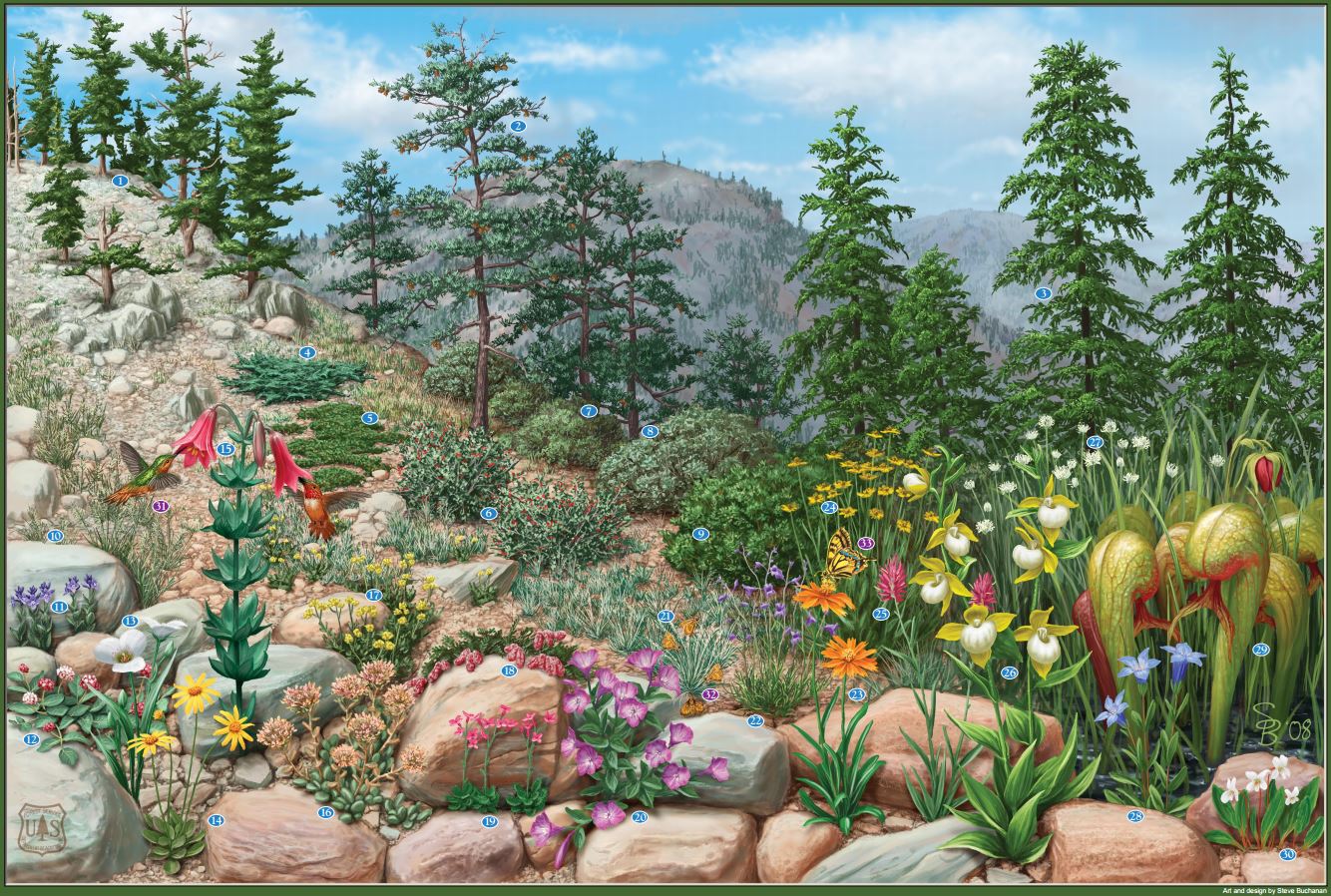 weltanschuuang: Ecosystem Art