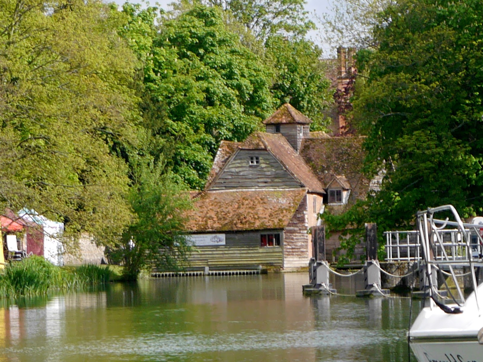 and Millie makes three: Pangbourne Meadows (River Thames) – Monday 1st May