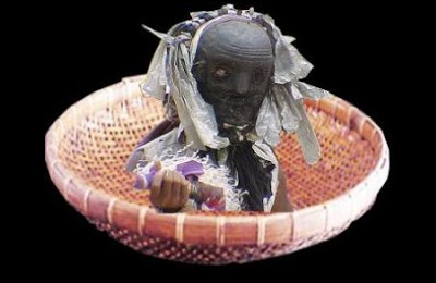 Augoeides: Malawi's Flying Witches Remain Elusive