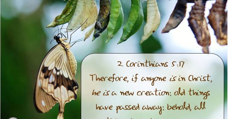 A New Creation in Jesus | Bible Fun For Kids