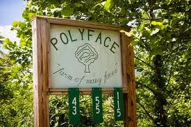 CULTURA GASTRONÓMICA DE AMÉRICA