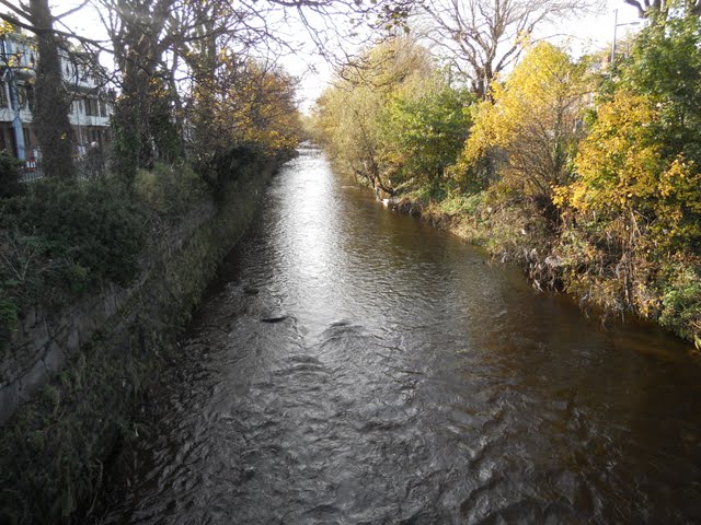 Let's Walk the River Dodder, One of the Best Hikes in Dublin