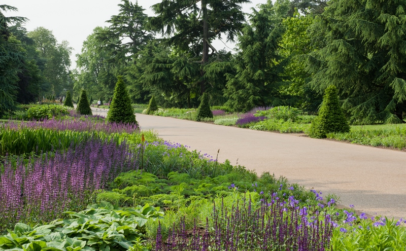 Great Broad Walk Borders en Kew Gardens: 20 minutos caminando entre ...