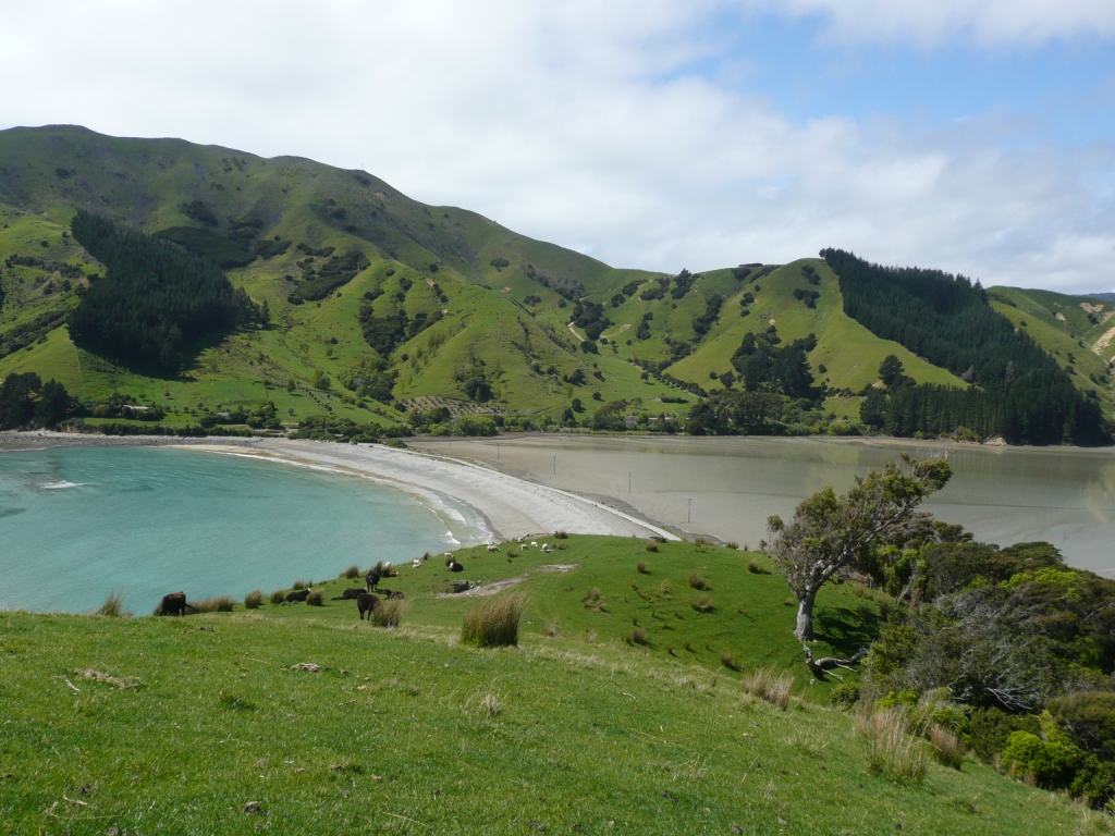 Take a hat: NZ Holiday - Nelson - Cable Bay