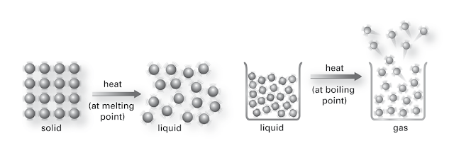 schneiderscience9: mass, volume and density 1