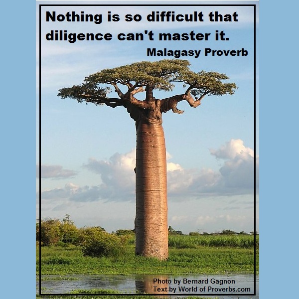 Memorable Quotes Madagascar. QuotesGram
