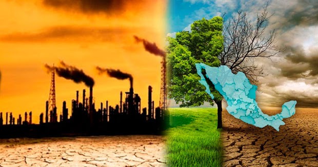 Tipos de impacto ambiental