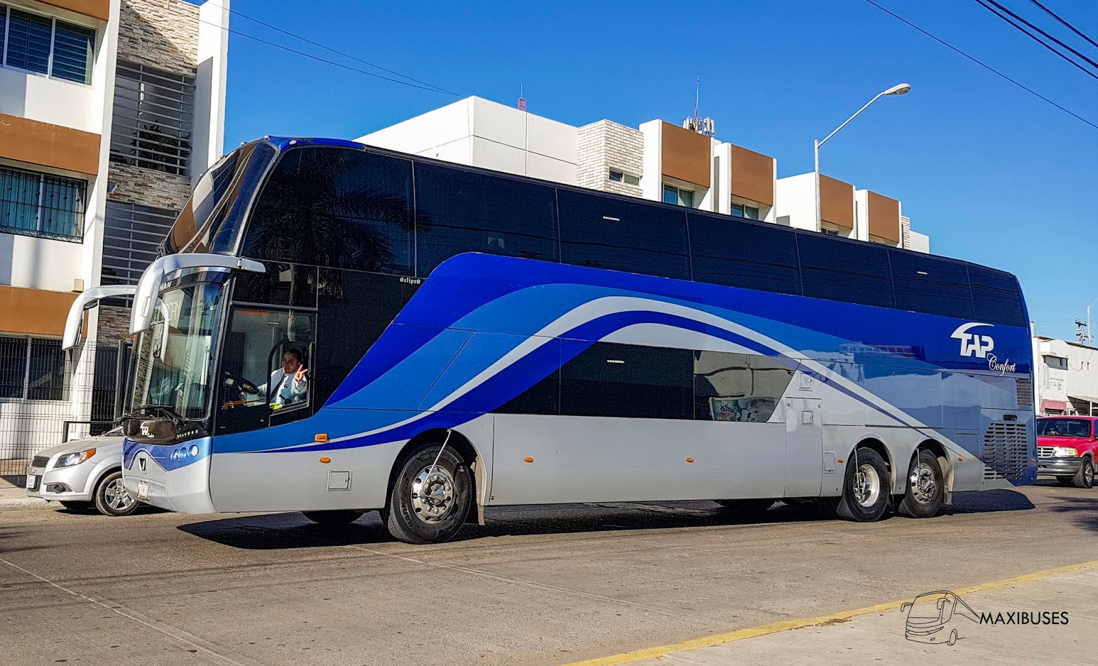 MAXIBUSES: TRANSPORTES Y AUTOBUSES DEL PACÍFICO, CONFORT (TAP CONFORT)