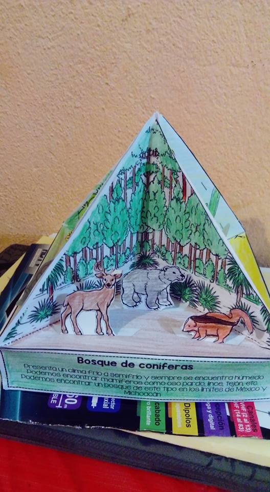 "TRIORAMA 3D" Los Ecosistemas Material didáctico - MATERIAL DIDACTICO