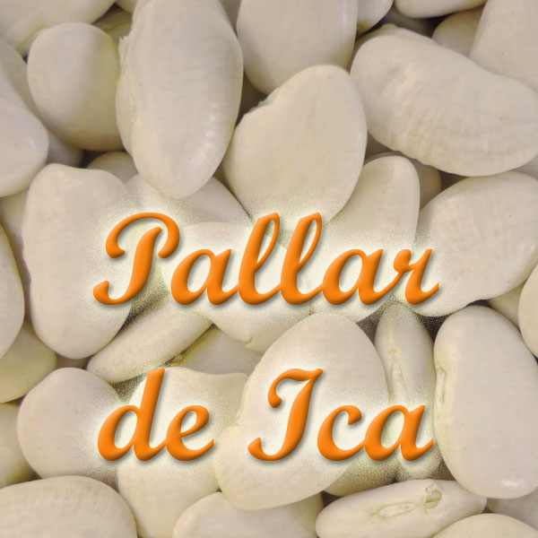 ICArte: El Pallar de Ica y el Pisco entre las 7 “Maravillas del ...