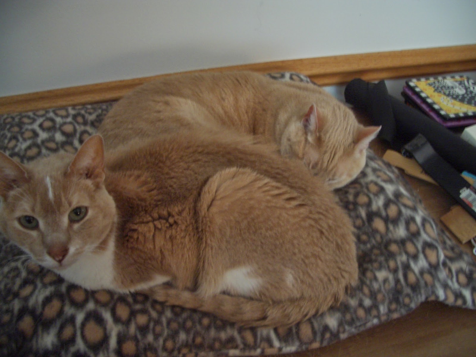 JUST DUCKY!: October 2014