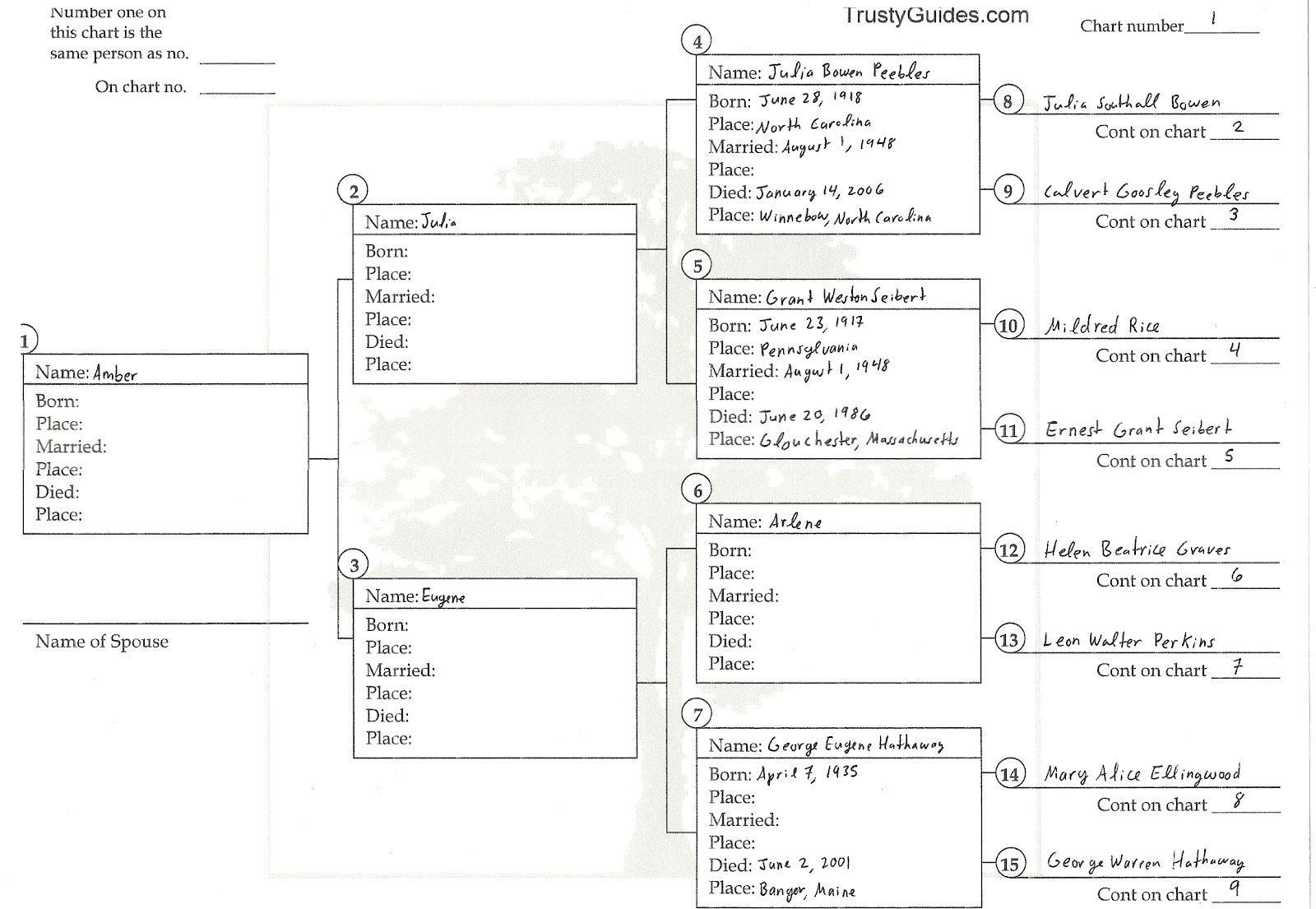 Amber's Genealogy and Family History Blog: Introduction and Getting Started
