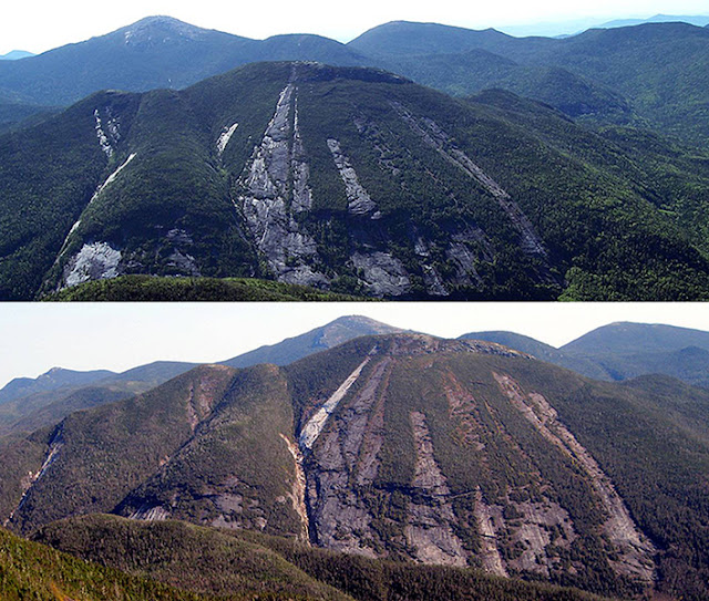 Hiking in the White Mountains: Adirondacks: Hiking the Forty Six High Peaks