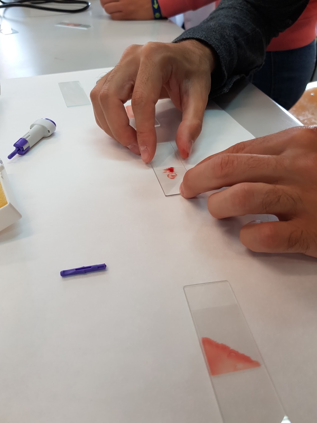 Observación de sangre al microscopio